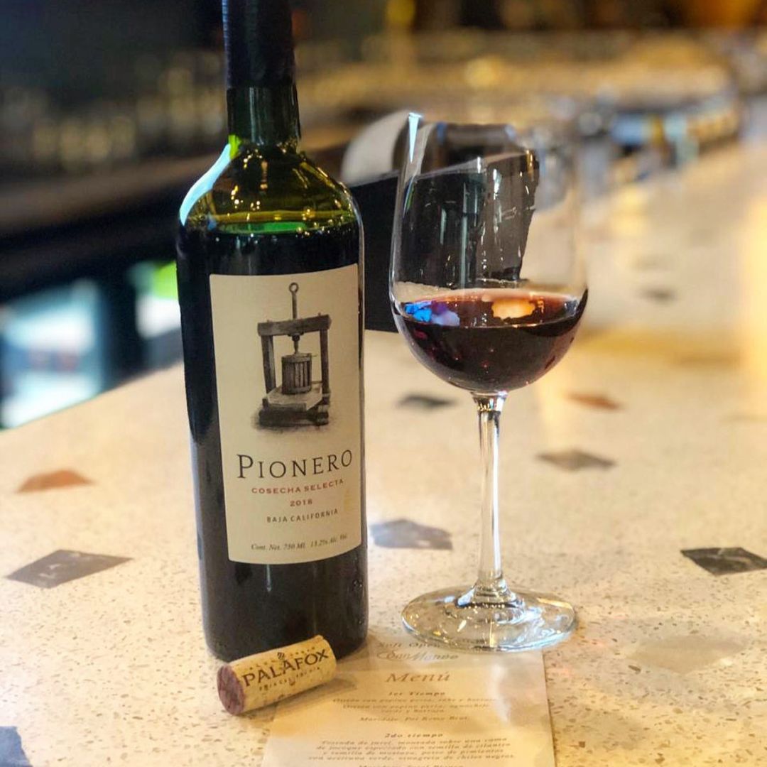 Wine Tasting | Tintos/Red – VinosPalafox